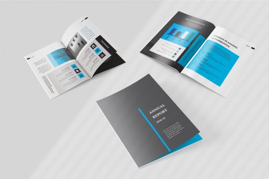 Financial Daily Planner | TMint