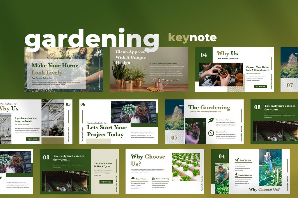 Ellen Keynote Presentation | TMint