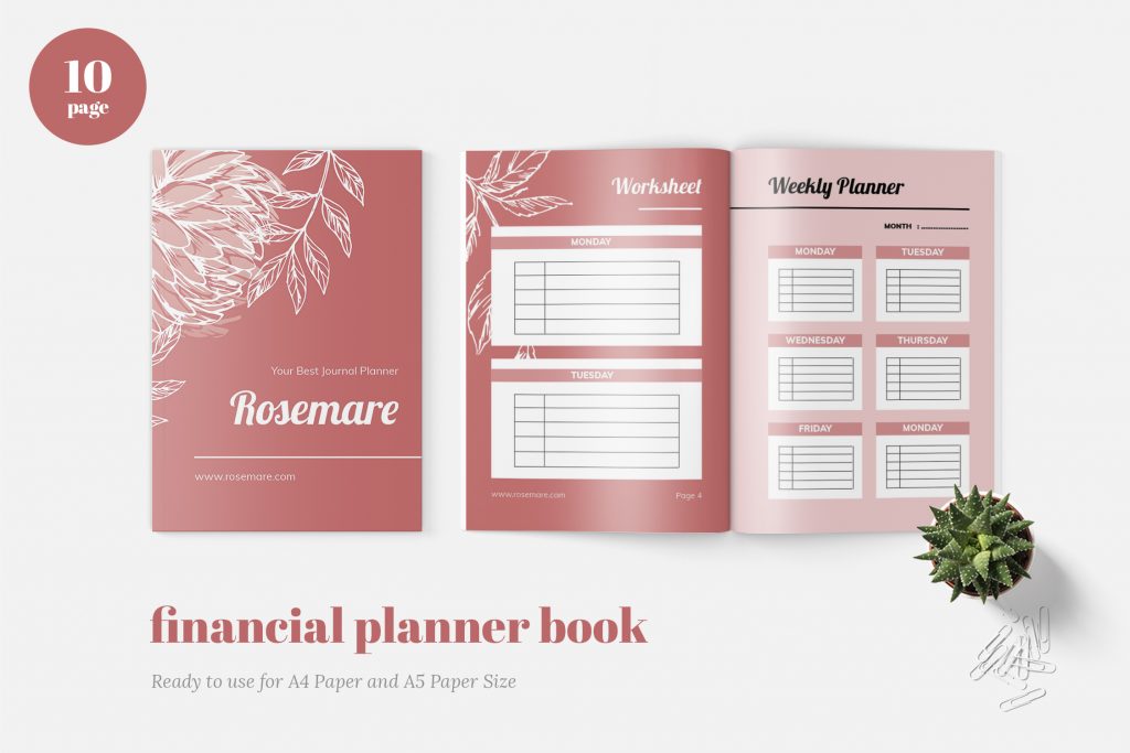 Financial Daily Planner | TMint