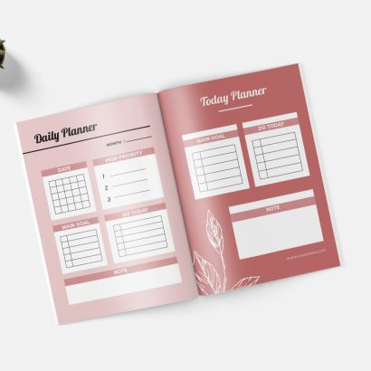 Financial Daily Planner | TMint