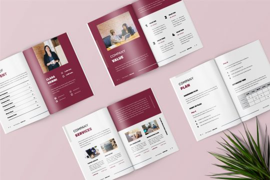 Client Proposal Template | TMint