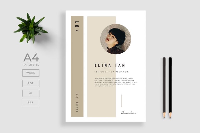 Dropbox Presentation Template | TMint