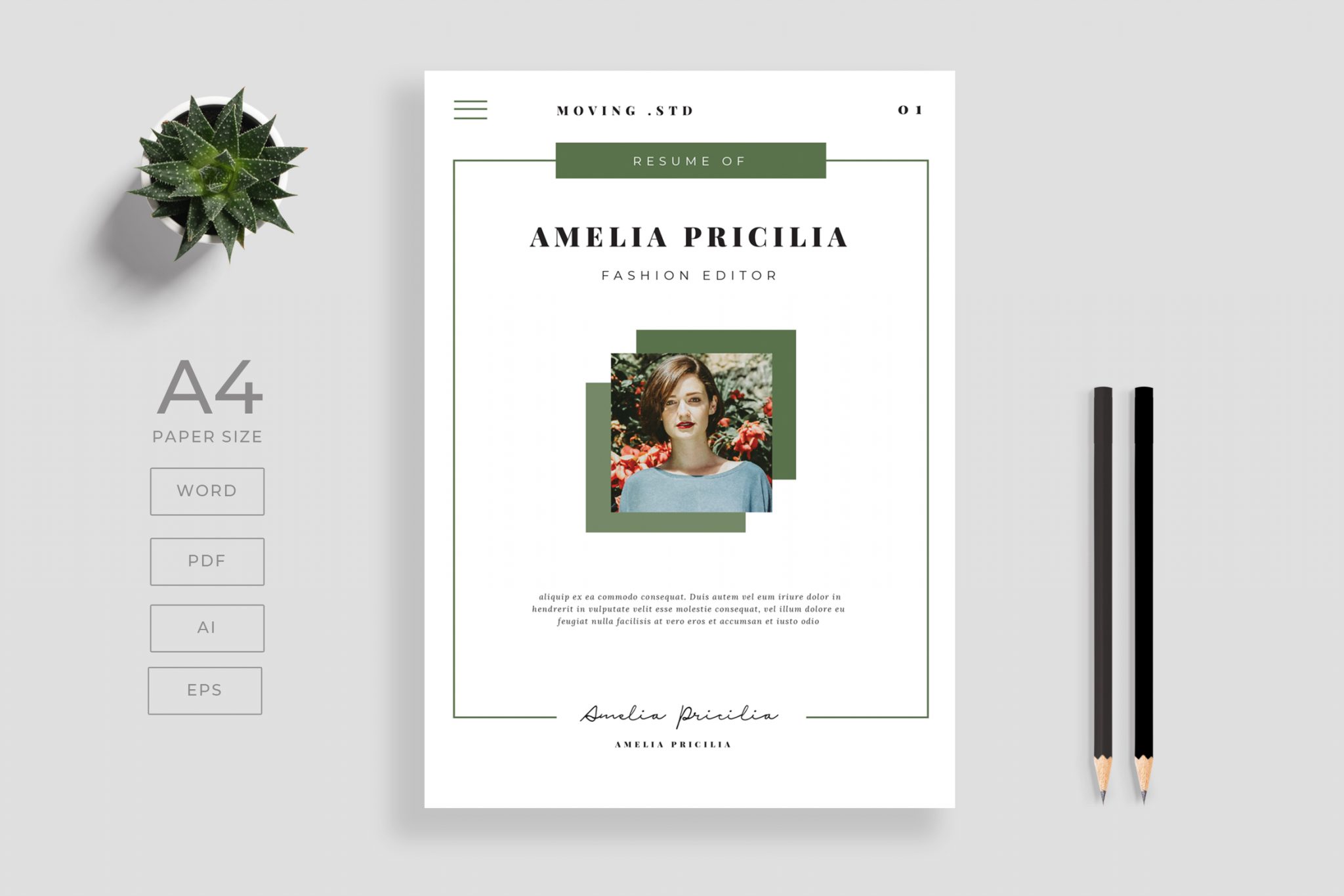 Tamara Presentation Template | TMint