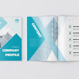Blue – Company Profile | TMint