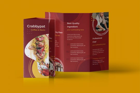 Trifold Brochure | TMint