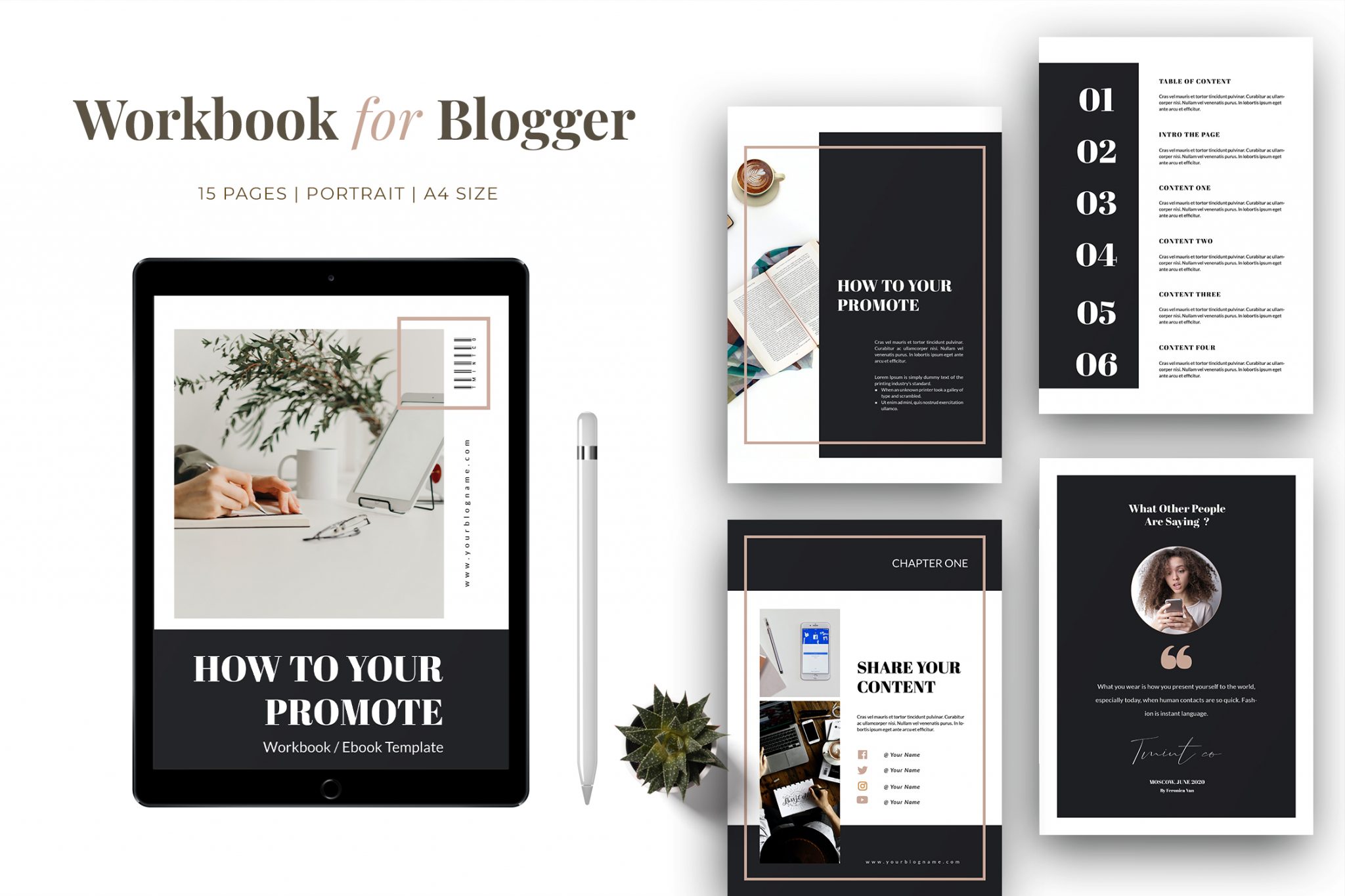Workbook for Blogger Proposal | TMint