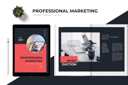 Professional Marketing Template | TMint