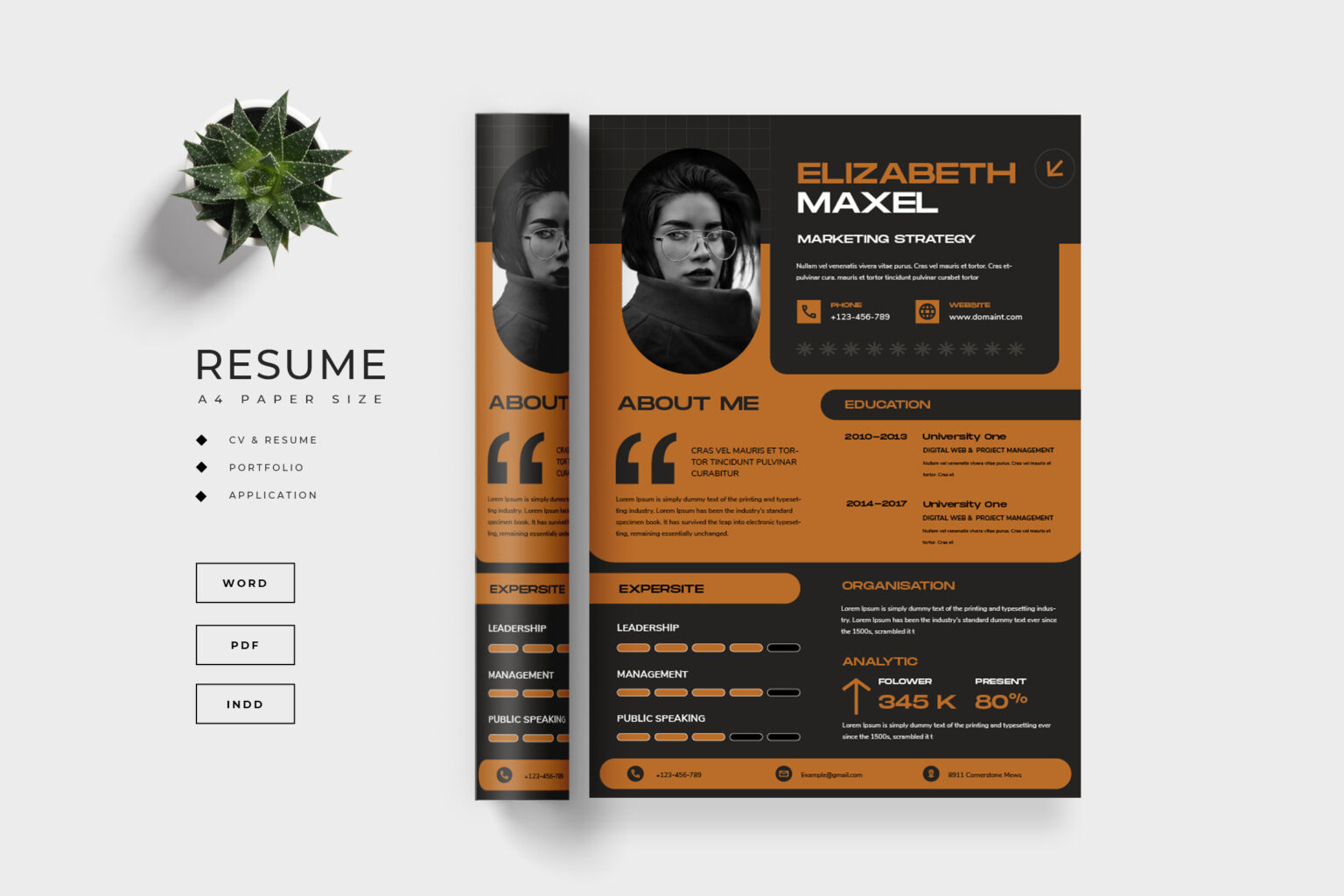 20+ Examples Professional Cover Letter Templates | TMint