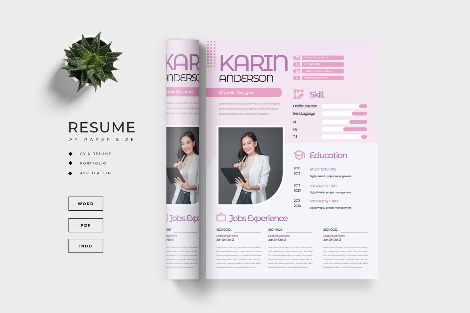Professional Resume Template Professional Resume Template