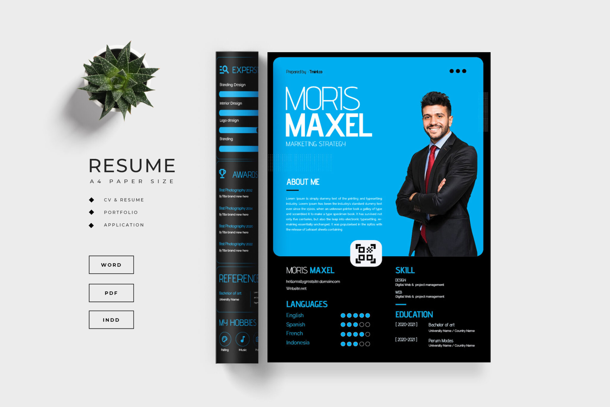 20+ Examples Professional Cover Letter Templates | TMint