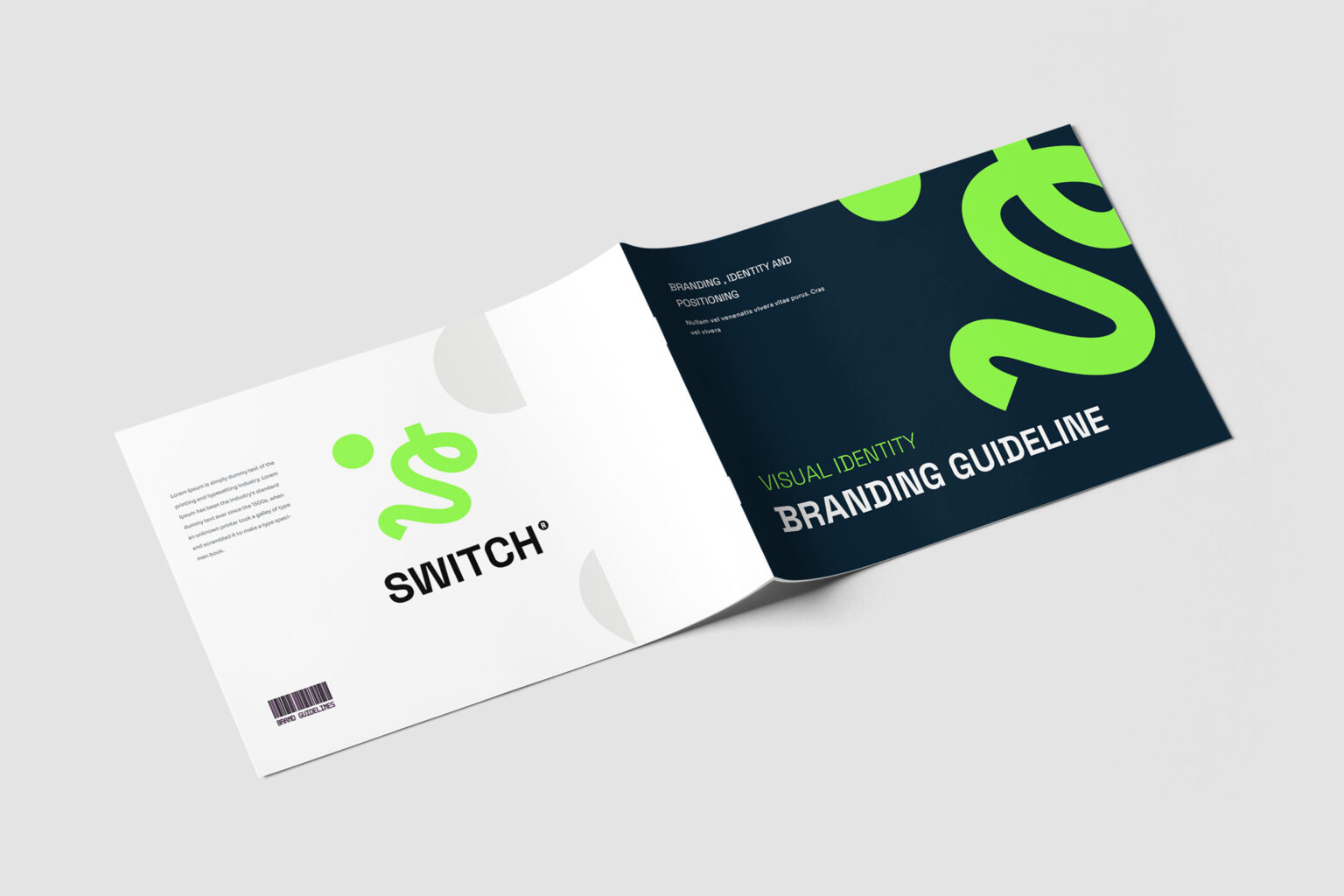 Project Brand Guideline Adobe Indesign Template | TMint