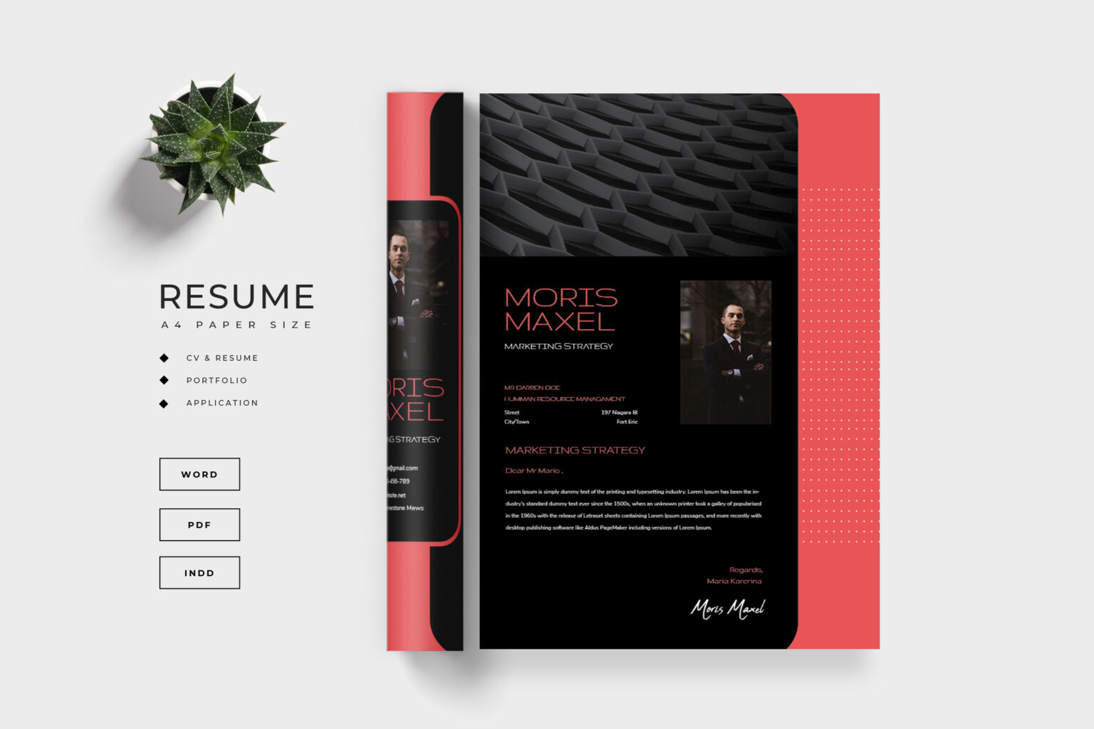 Professional Resume Template Professional Resume Template