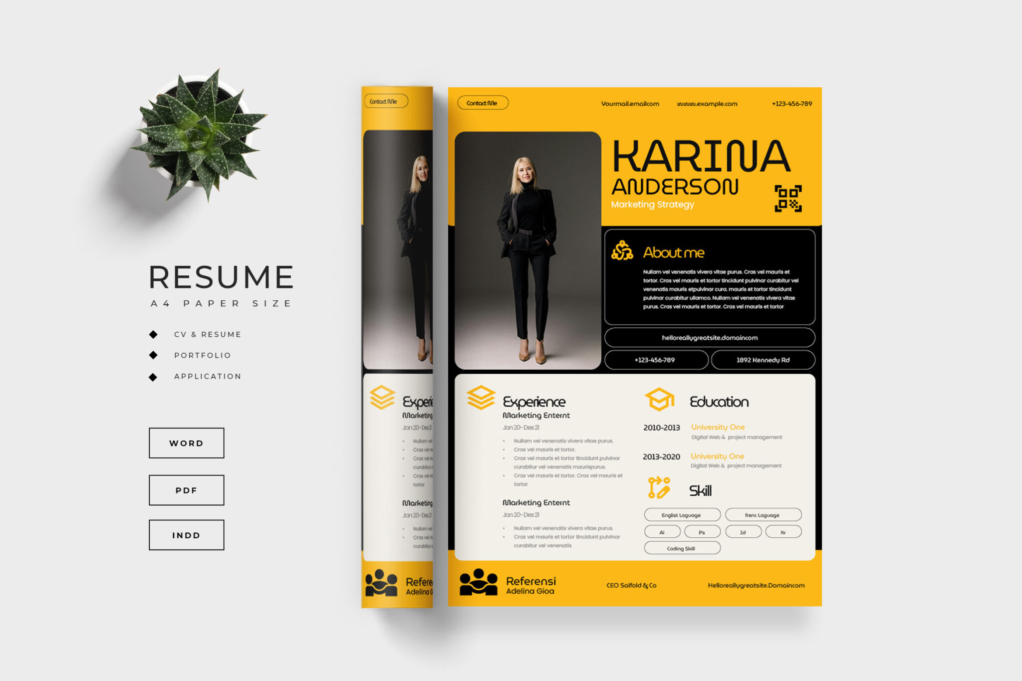 Professional Resume Template Professional Resume Template