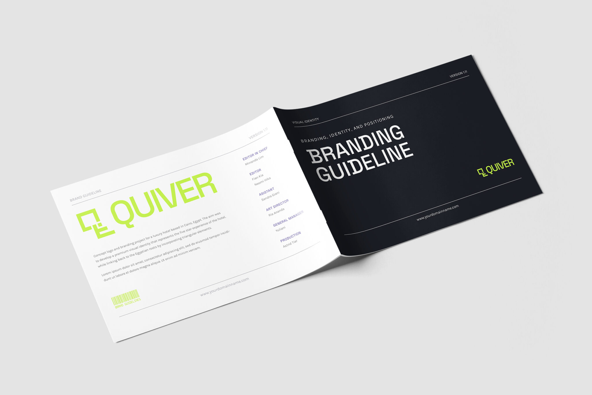 Project Brand Guideline Template for Adobe Indesign | TMint