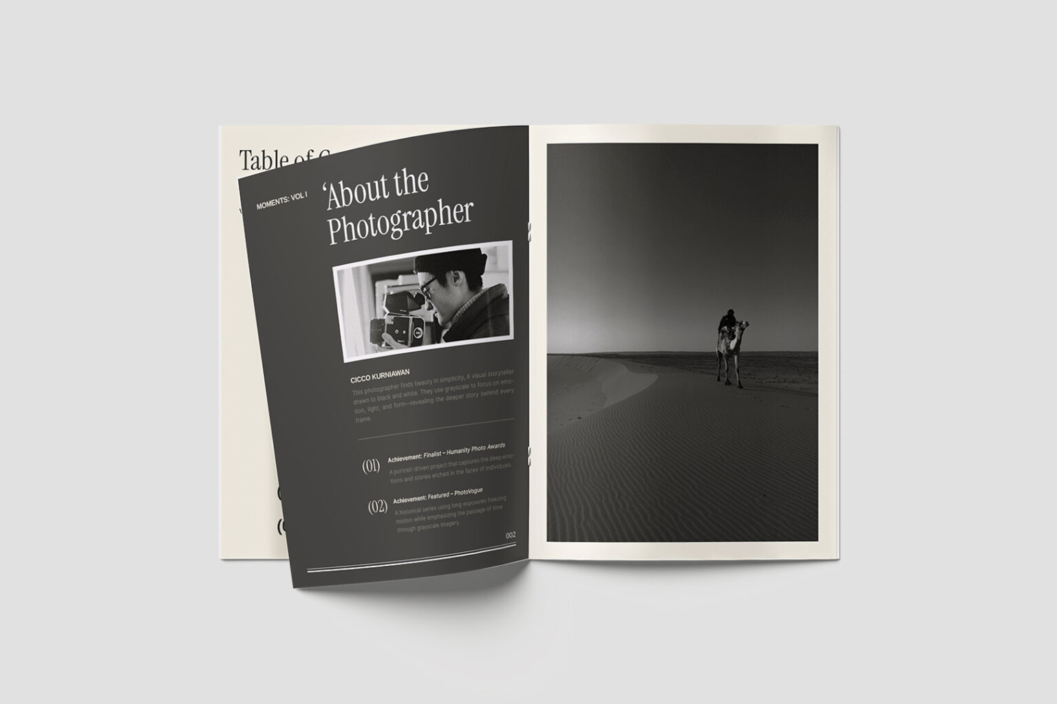 Photography Lookbook Template for Adobe InDesign | TMint